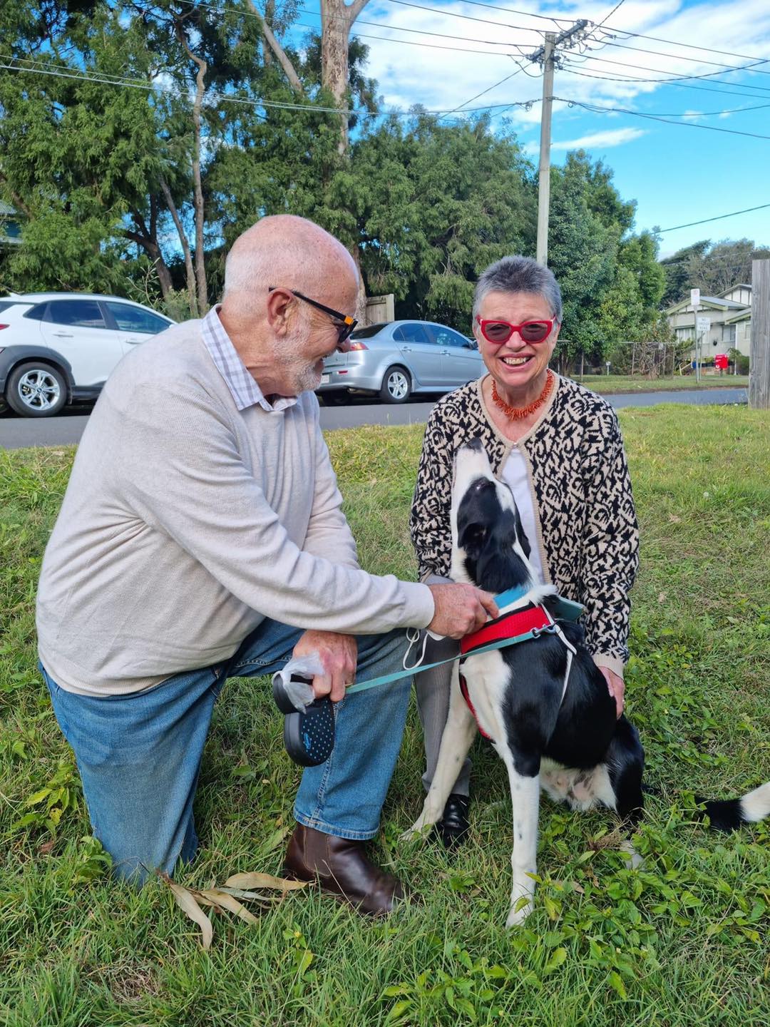 10 Reasons To Adopt – Lucky Paws Dog Rescue Inc