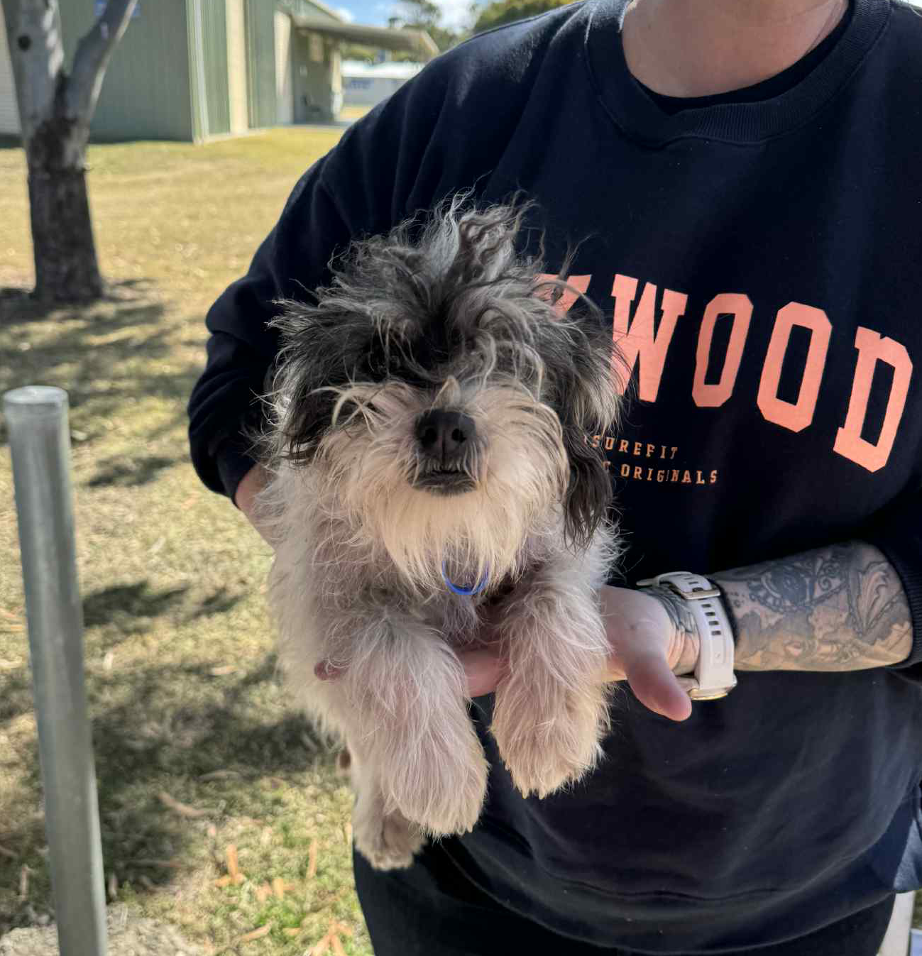 Malta – Lucky Paws Dog Rescue Inc